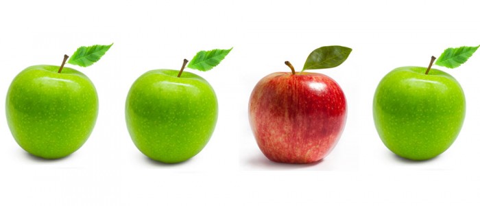 Vertical Menu Wordpress Theme Vertical Menu Wordpress Theme